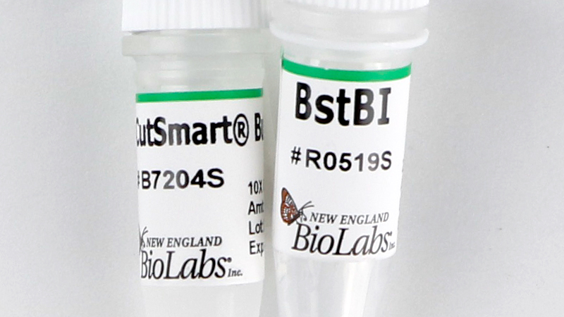 限制性内切酶BstBI BstBI|基因有限公司