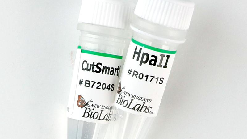 HpaII - 2000 units - 基因商城
