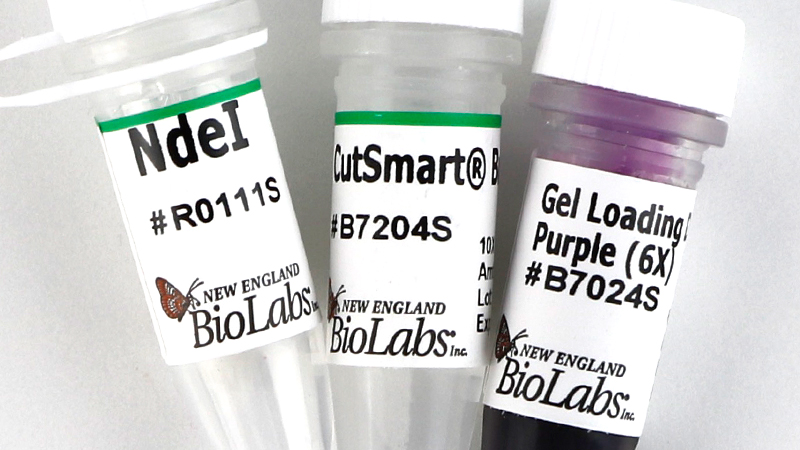 NdeI - 4000 units - 基因商城