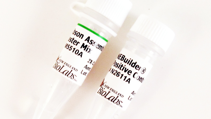 Gibson 组装预混液 Gibson Assembly Master Mix|基因有限公司