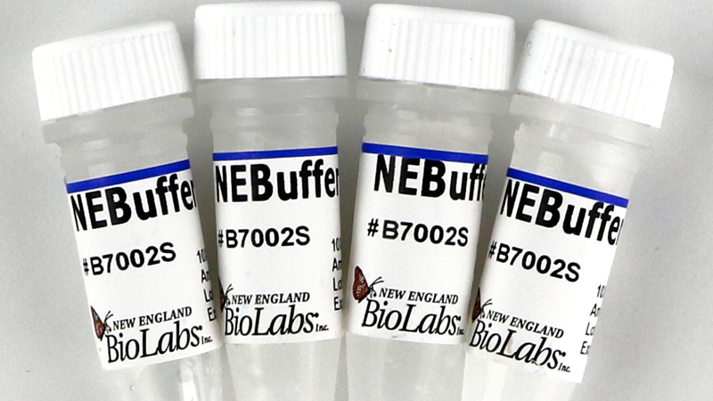 NEBuffer™ 2 - 5 ml - 基因商城
