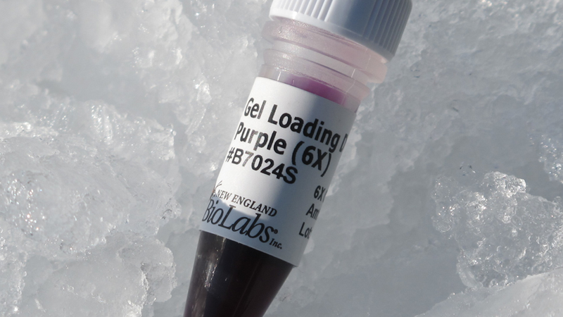 Gel Loading Dye Purple (6X) - 4 ml - 基因商城