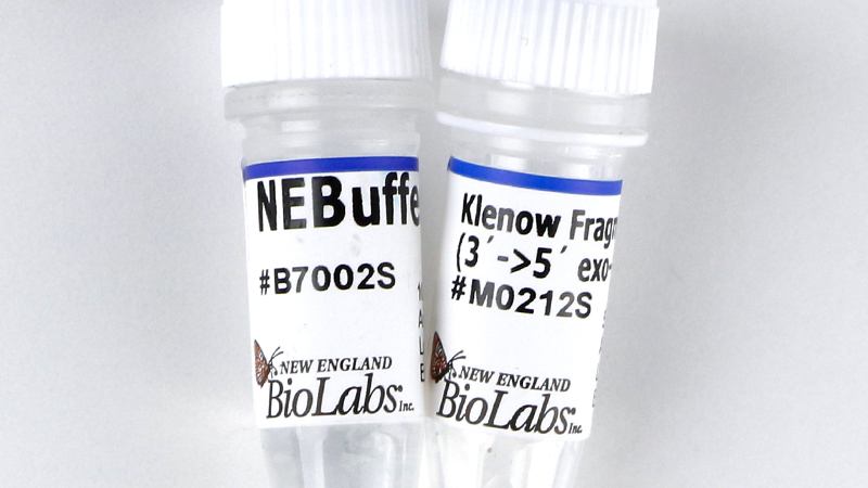 Klenow Fragment (3-5 exo-) - 1000 units - 基因商城