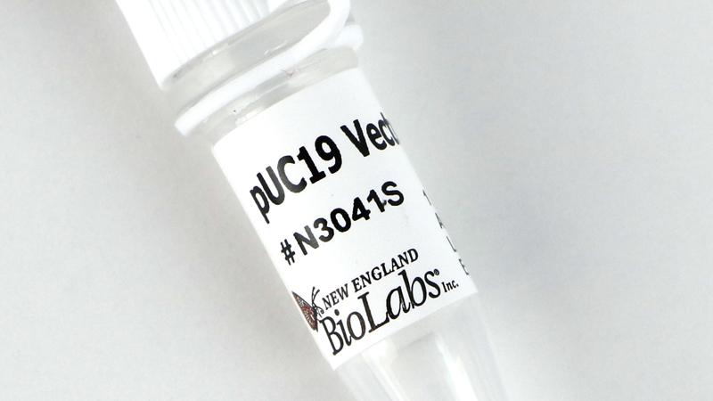 pUC19 载体 pUC19 Vector|基因有限公司