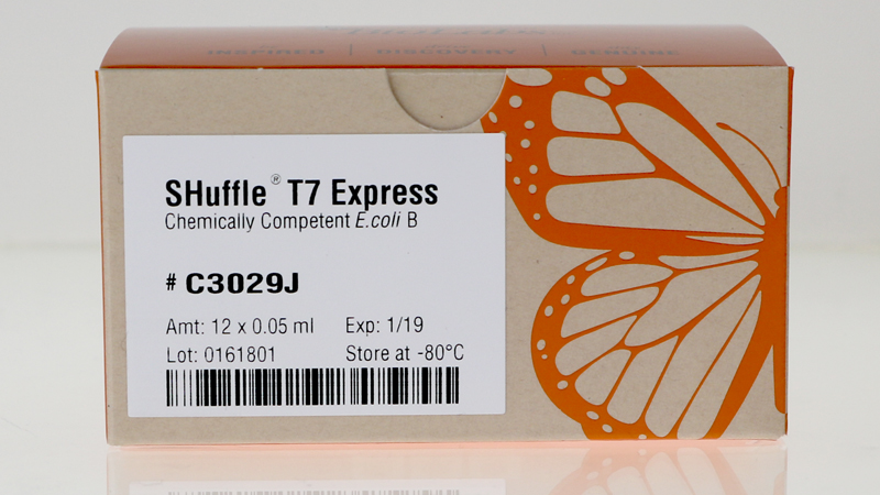 SHuffle T7 表达 E. coli 感受态细胞 SHuffle T7 Express Competent E. coli , 12 x ...