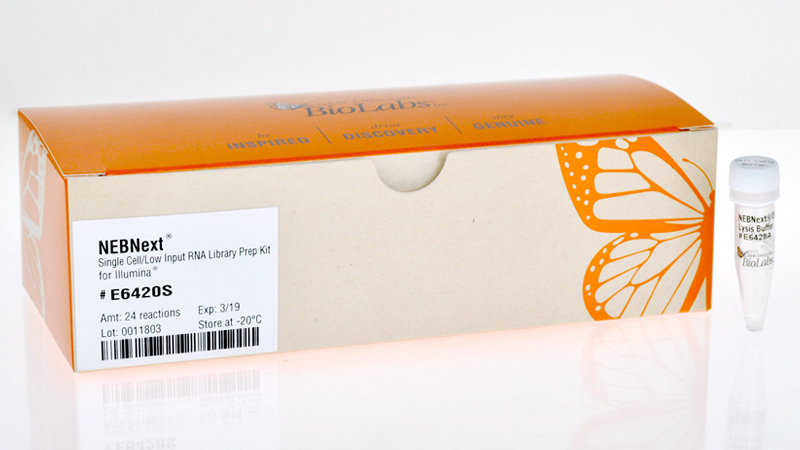 NEBNext Single Cell/Low Input RNA Library Prep Kit for Illumina -24 ...
