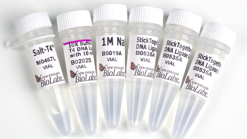 Salt-T4™ 耐盐 DNA 连接酶 Salt-T4™ DNA Ligase, 100,000 units|基因有限公司