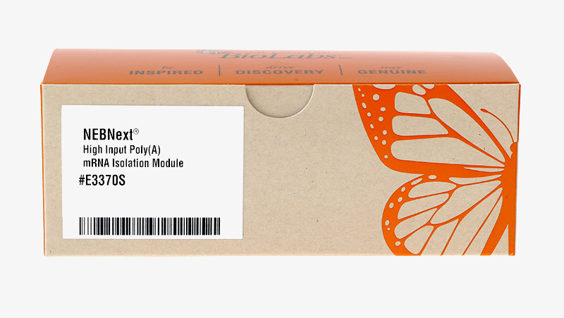 NEBNext® 高起始量 Poly(A) mRNA 分离模块 NEBNext® High Input Poly(A) mRNA ...