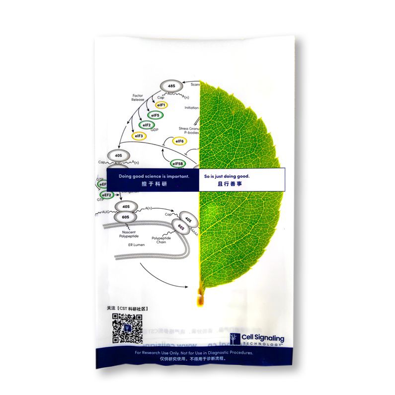 PTMScan® 磷酸化酪氨酸小鼠单抗 (P-Tyr-100) 试剂盒 PTMScan® Phospho-Tyrosine Mouse mAb ...