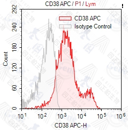 APC anti-human CD38 - 基因商城