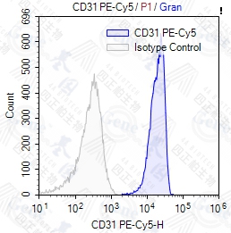 PE-Cy5标记抗人CD31 PE-Cy5 anti-human CD31|基因有限公司