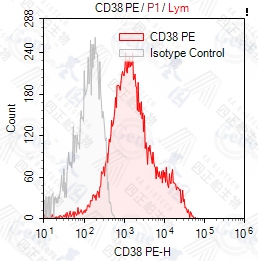 PE标记抗人CD38 PE anti-human CD38|基因有限公司