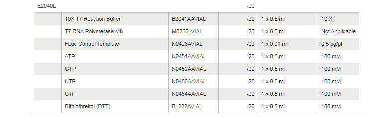 HiScribe®T7高产RNA合成试剂盒 HiScribe® T7 High Yield RNA Synthesis Kit, 250 ...